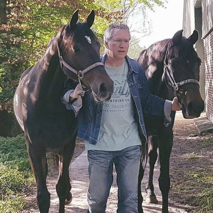 About us – Royal Gypsy Vanners